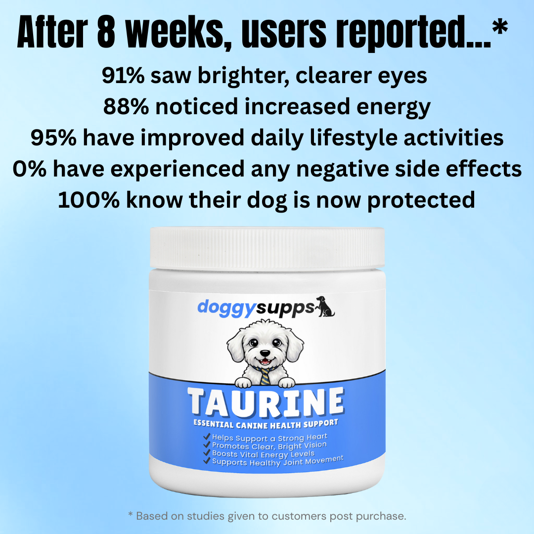 DoggySupps™ Taurine – Doggy Supps